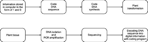 1 Flow Chart Illustrating The Key Processes Involved When Storing Data Download Scientific