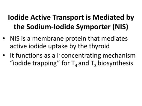 Thyroid Hormone Synthesis Ppt Thyroid Disorders Endocrine And