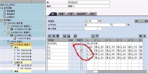 解决smartforms 中table 控件单行跨页的问题sap翻页 Csdn博客
