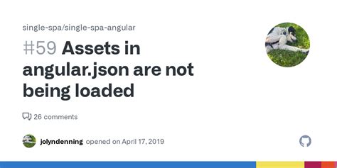 assets in angular json are not being loaded · issue 59 · single spa
