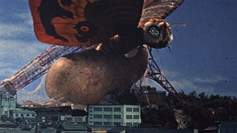 10 Kaiju Movies You Need To Watch If You Like Godzilla