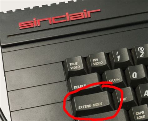 Interview With Extend Mode Cat With Monocle