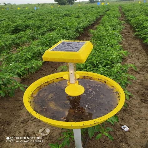 Solar Insect Trap Mini At ₹ 1100 Piece Solar Insect Killer In East Godavari Id 27607972273