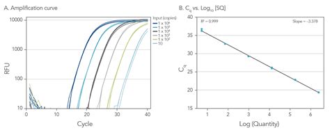 Why Are Assays Important At Emmanuel Jones Blog