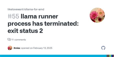 Llama Runner Process Has Terminated Exit Status 2 · Issue 55