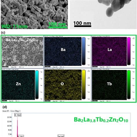 A And B Respectively Represent SEM And TEM Micrographs Of Download Scientific Diagram