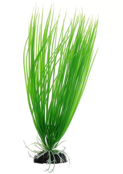 Растение искусственное Barbus Plant 007 Акорус 10см - купить с ...