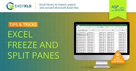 freeze rows in excel sheet from classic asp r easyxls