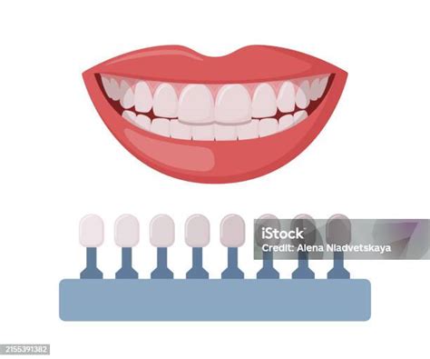임플란트의 음영 틀니 및 임플란트 생산 치아 색상 샘플 베 니 어판 건강한 치아를 가진 아름다운 미소 짓는 입 치과 치과 치료 미백 교정 벡터 치아 미백에 대한 스톡 벡터