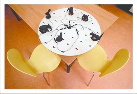 Set Up Of Experiment Download Scientific Diagram