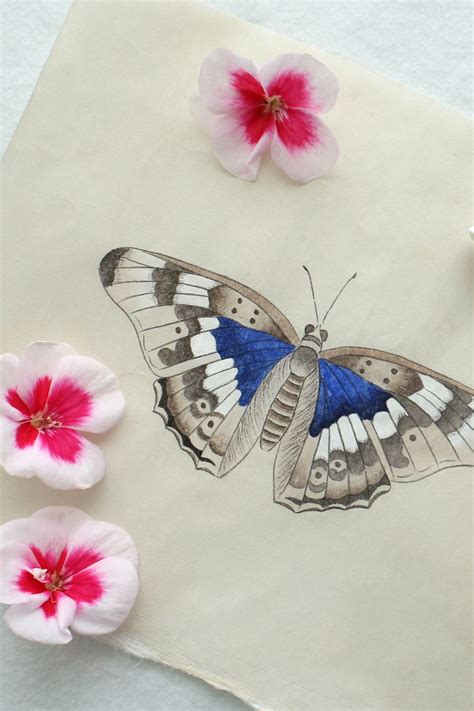 복을 불러오는 민화 채색화 쉽게 그려보는 남계우의 나비 채색과 바림 Korean painting for beginners paintwithme 나비 그림