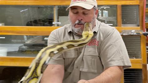 Prehistoric Python