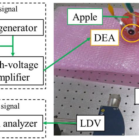 Configuration Of The Vibration Experiment System Download Scientific Diagram