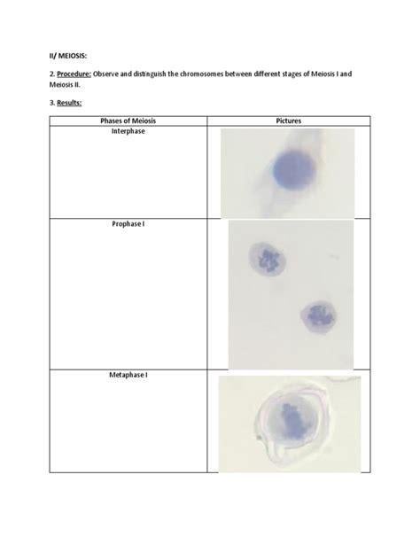 lab 5 pdf