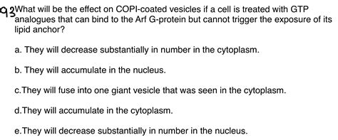 Solved The Pyrene Actin Assembly Assay Below Shows The