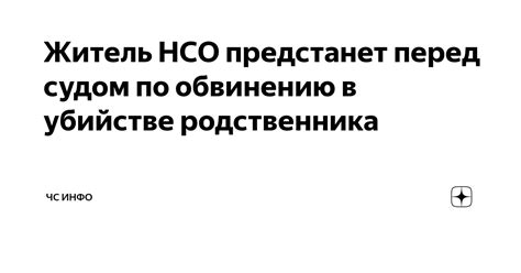 Житель НСО предстанет перед судом по обвинению в убийстве родственника ЧС ИНФО Дзен