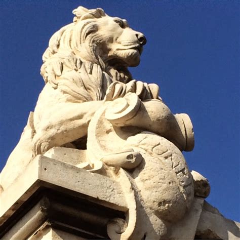 Stephen Rowswell Youtube