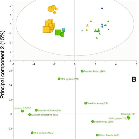 Principal Component Analysis Pca Score Plot A And Loading Plot B