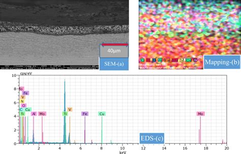 A Sem B Mapping And C Eds Analysis Of Cross Section Download