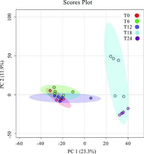principal component analysis pca plot the clustering of samples