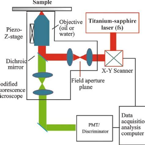 A Two Photon Fluorescence Microscope Using A Femtosecond Tis Laser Download Scientific Diagram