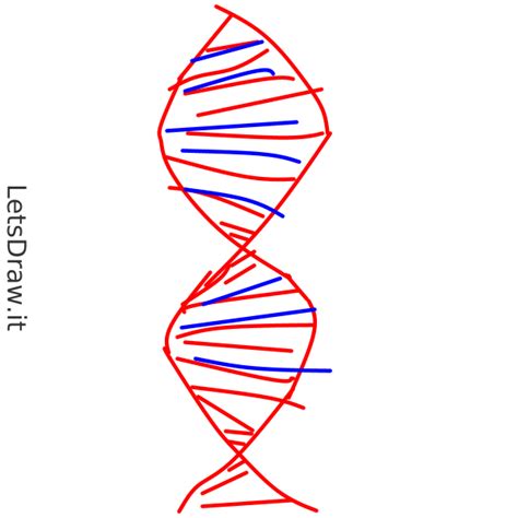 How To Draw Dna S6s6ekmaz Png Letsdrawit