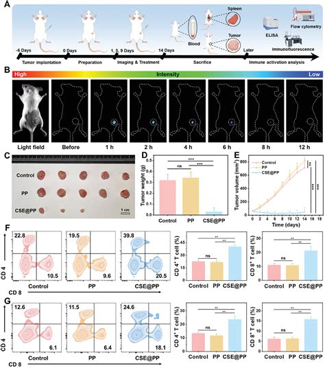 Biodegradable Persistent Luminescence Nanoparticles As Pyroptosis Inducer For High‐efficiency