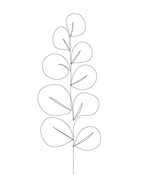How To Draw Eucalyptus Leaf