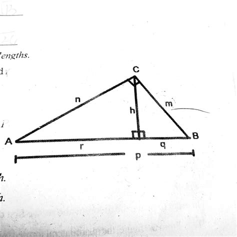 Grade 9 Math Geometry Rhomeworkhelp