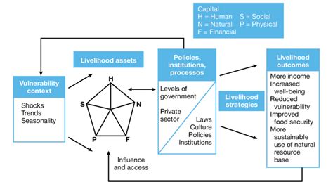 Livelihood Asset Components Download Scientific Diagram