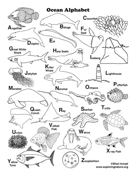 Ocean Alphabet Coloring Exploring Nature