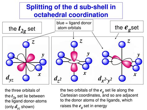 Ppt Bonding In Complexes Of D Block Metal Ions Crystal Field Theory