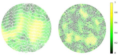 Colour Maps Of The Local Smectic Order Parameter For Two Cases Left