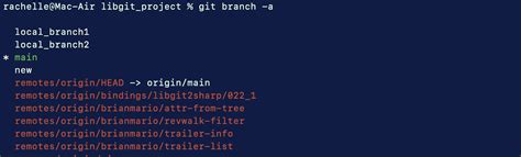 How To List Remote Branches In A Git Repository