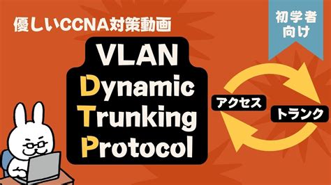 CCNA 章 VLANDTP Dynamic Trunking Protocol YouTube