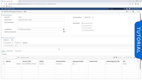 Creating An Allocation Rule Set In Sas Risk Stratum Sas Video Portal