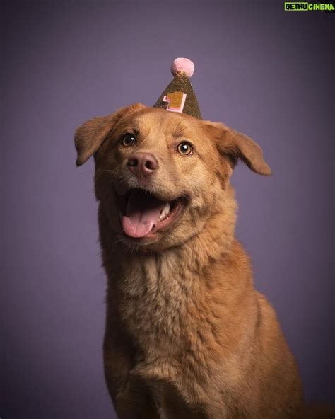 Matthew Wilkas Wiki Biography Age Gallery Spouse And More