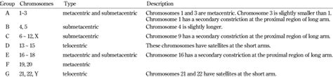 Classification Of Human Chromosomes Based On Morphology Using Giemsa