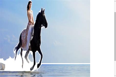 The Pictures Are Stitched With Gaps And Blank Blocks · Issue 292 · Facebookresearch Segment