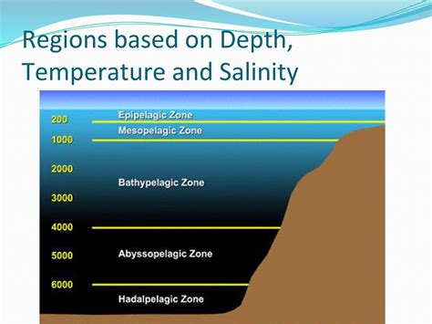 Zonation In The Ocean Ppt Download