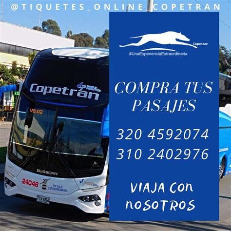 Tiquetes Online 💙 Viaja Con Nosotros 💙 Escríbenos Para Ayudarte Con El Proceso De Compra 😉🧳🙌🏻