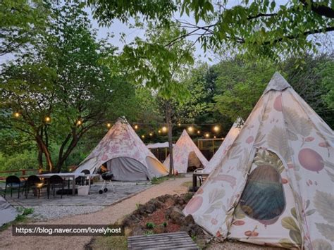 파주 더 바베큐 피크닉 14개월 아기랑 야외 캠핑장 방문후기 네이버 블로그