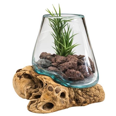 Driftwood 6 Glass Terrarium Planter Coastal Boho Tabletop Decor