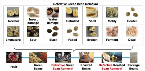 applied sciences free full text deep learning based defective bean