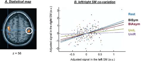 Example Of Connectivity Results For A Single Subject Results Of The Download Scientific