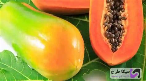 طرح توجیهی گلخانه میوه های استوایی Wordpdf سال 1404 سیکا طرح