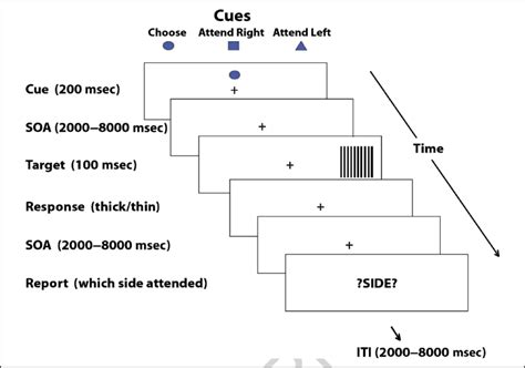 An Example Trial Sequence For The Attention Task Download Scientific Diagram