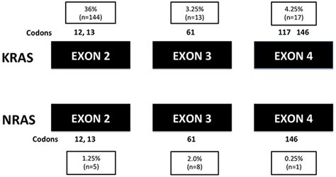 The Molecular Heterogeneity Of Sporadic Colorectal Cancer With