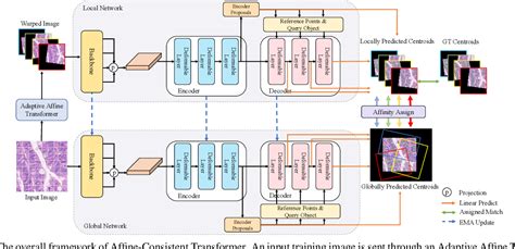 figure 2 from affine consistent transformer for multi class cell nuclei