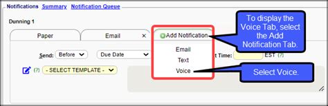 Voice Notifications Setup